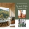 St Future home aroma-Enchanted Glade aromas series candle diffuser